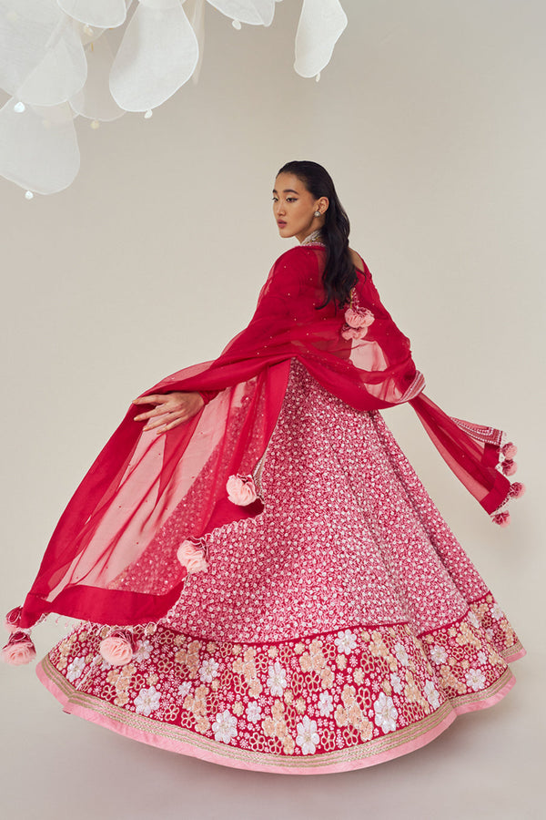 Mad Zin - Ruby Red Lehenga Set - Elahe