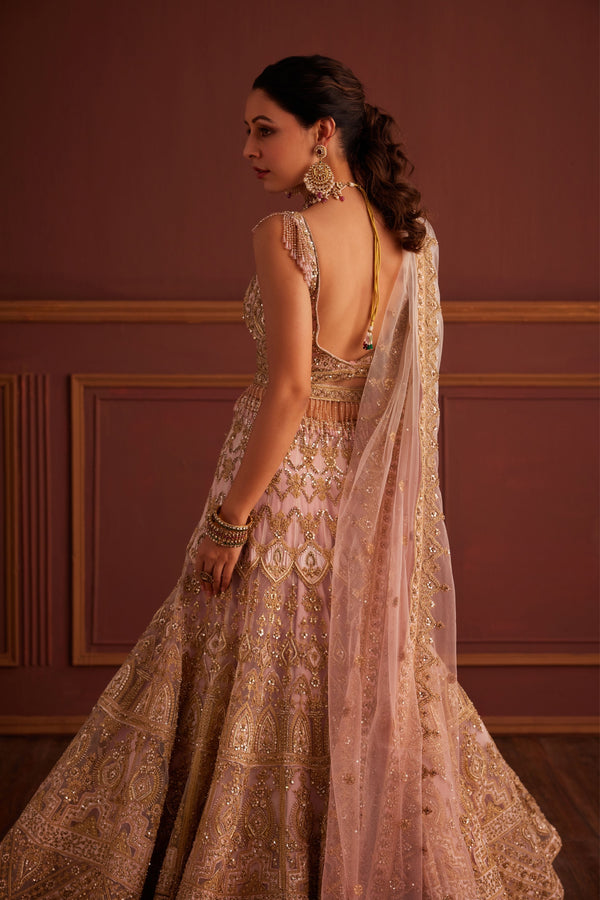 Anjanaa M Dang - Pink Cutdana & Dabka Embellished Lehenga - Elahe