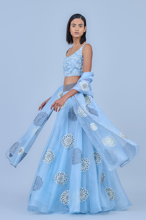 Peachoo - Ice Blue Silk Organza Blouse - Elahe