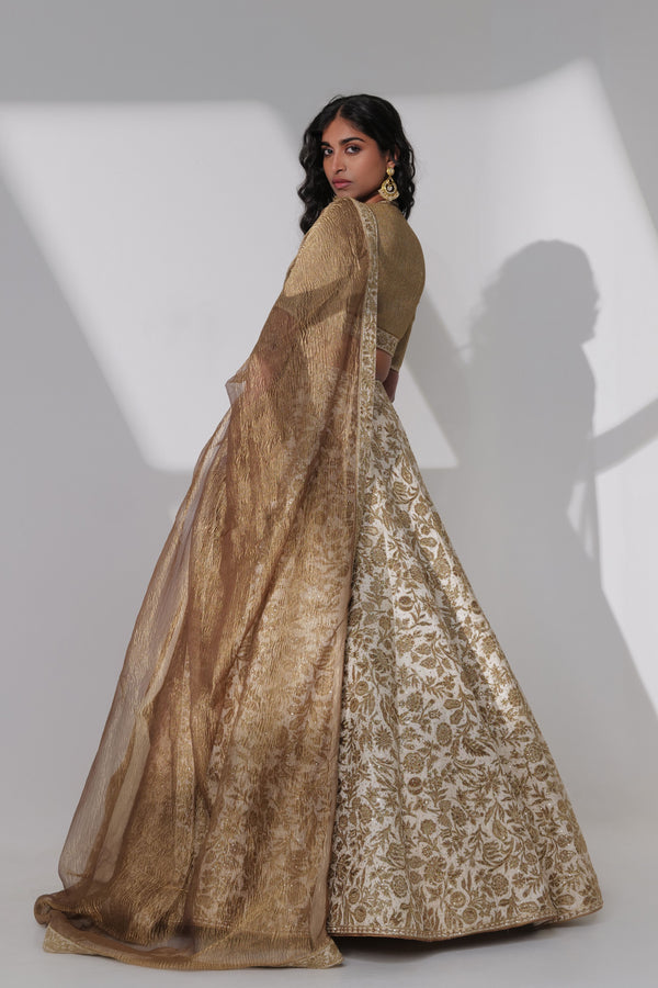 Taisha - Brown Embroidery Lehenga Set - Elahe