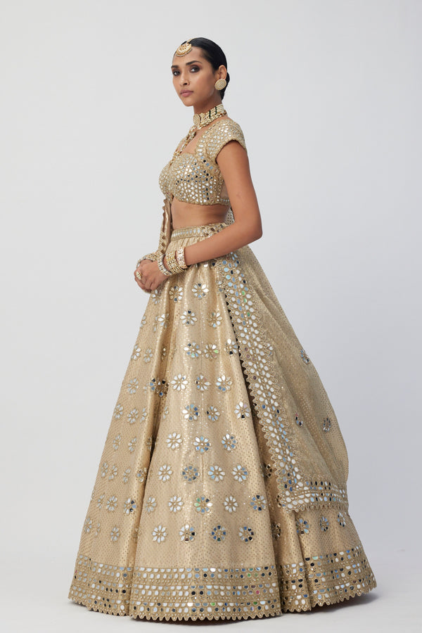 Vvani by Vani Vats - Golden Shimmer Flower Lehenga Set - Elahe