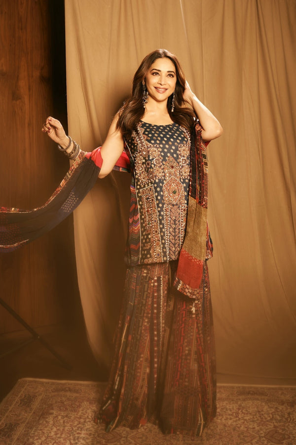Madhuri Dixit in Aseem Kapoor - Elahe