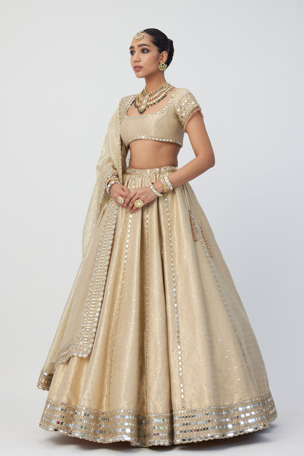 Vvani by Vani Vats - Golden Shimmer Lehenga Set - Elahe