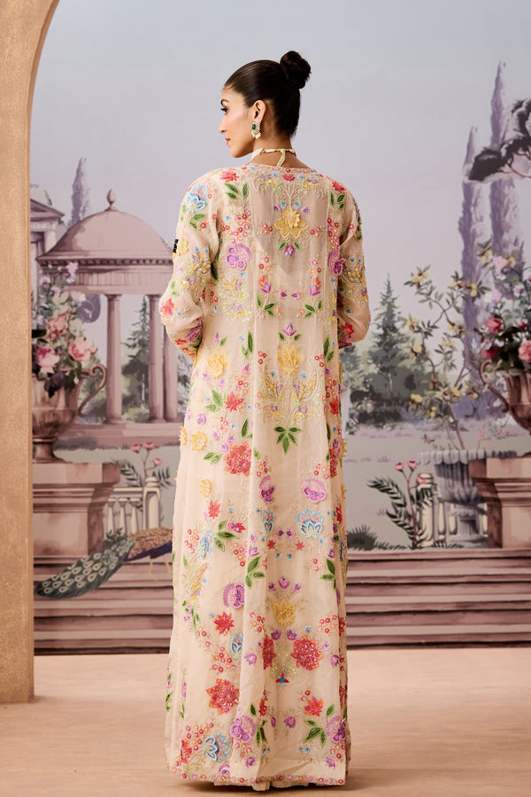 Aneesh Agarwaal - Pj Ntu Jacket Saree Set - Elahe