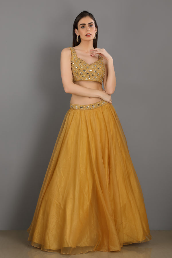 Chamak embroidered lehenga set - Elahe