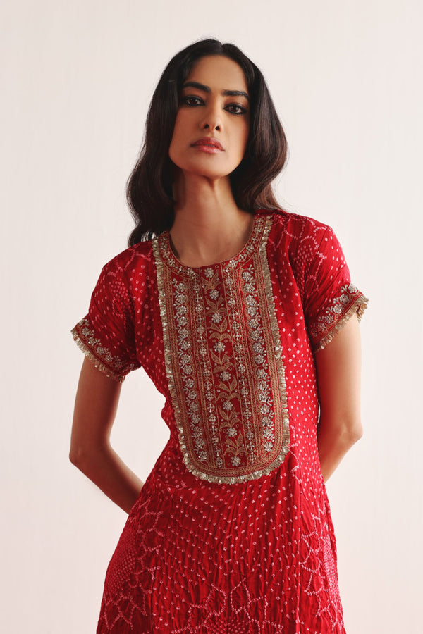 Twenty Nine - Marodi Work Crushed Kurta Set - Elahe