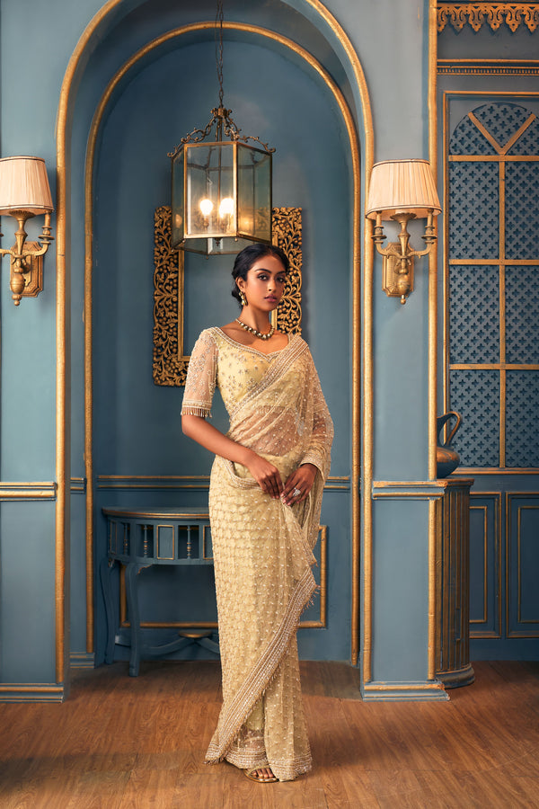 Stotram - Heritage Light Green Saree Set - Elahe